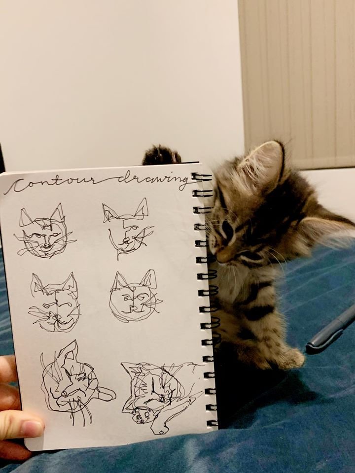 30 Day Drawing Challenge — Open Hands Creative