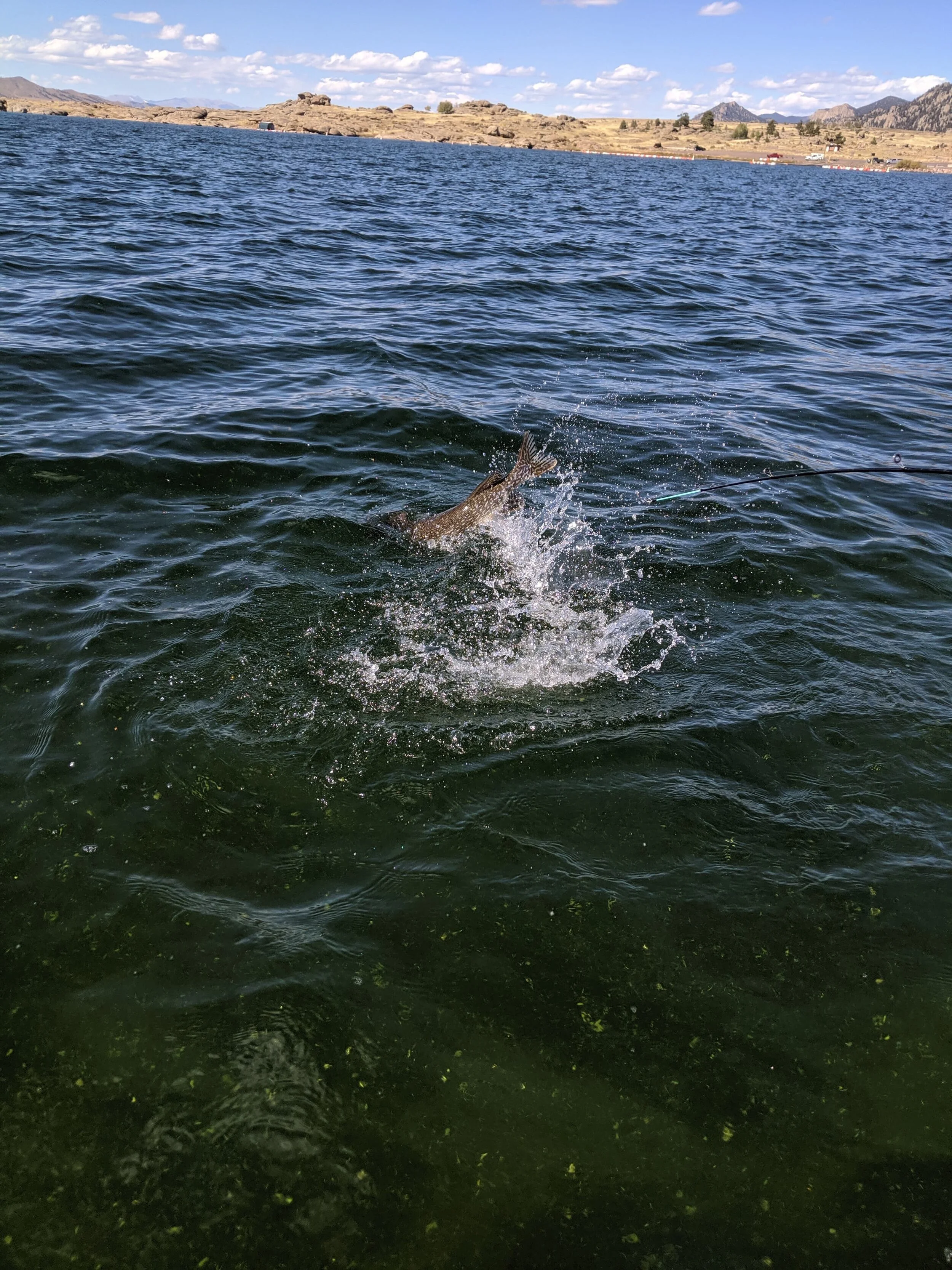 Fishing Report — 11 Mile Marina