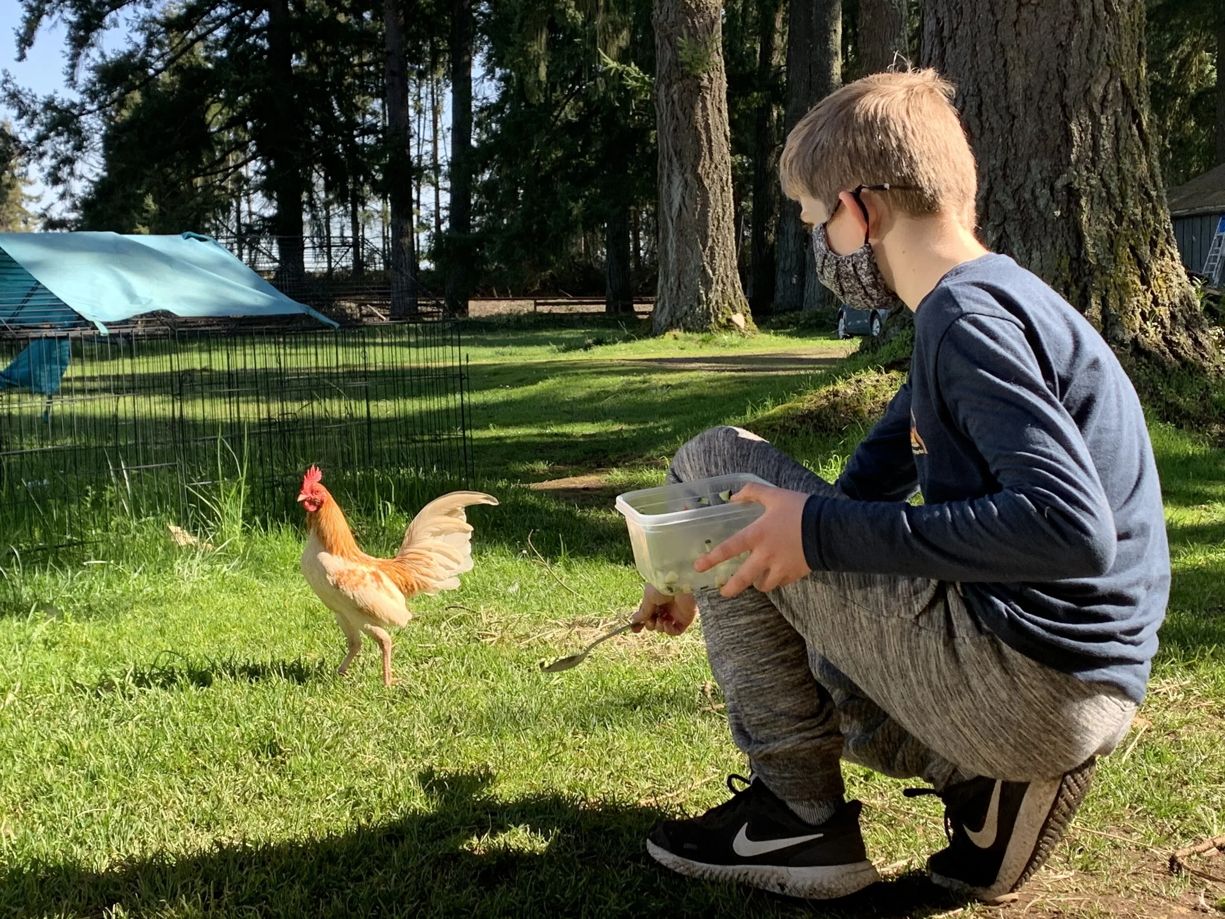 Blue Barn Farm & Sanctuary
