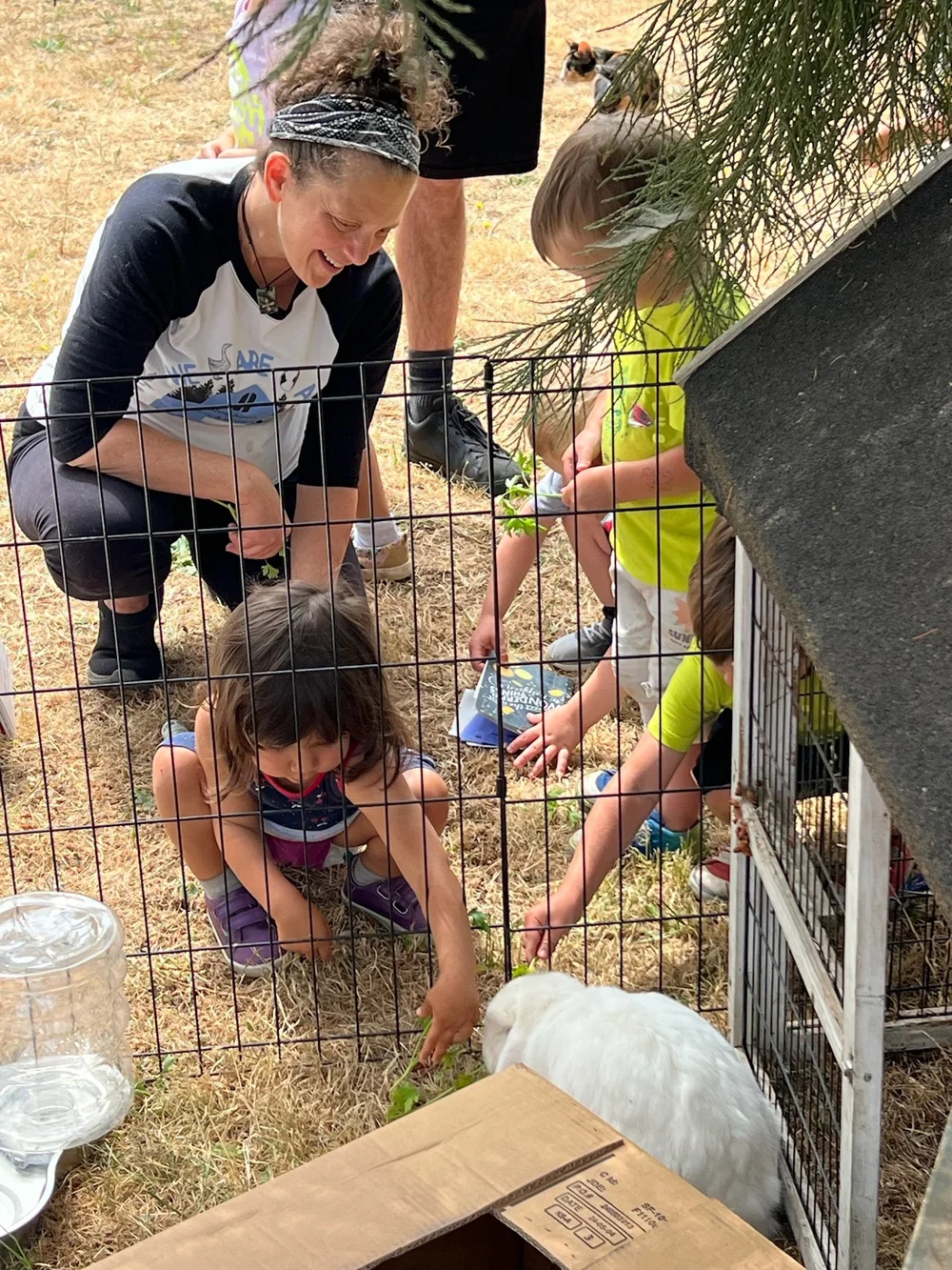 Blue Barn Farm & Sanctuary