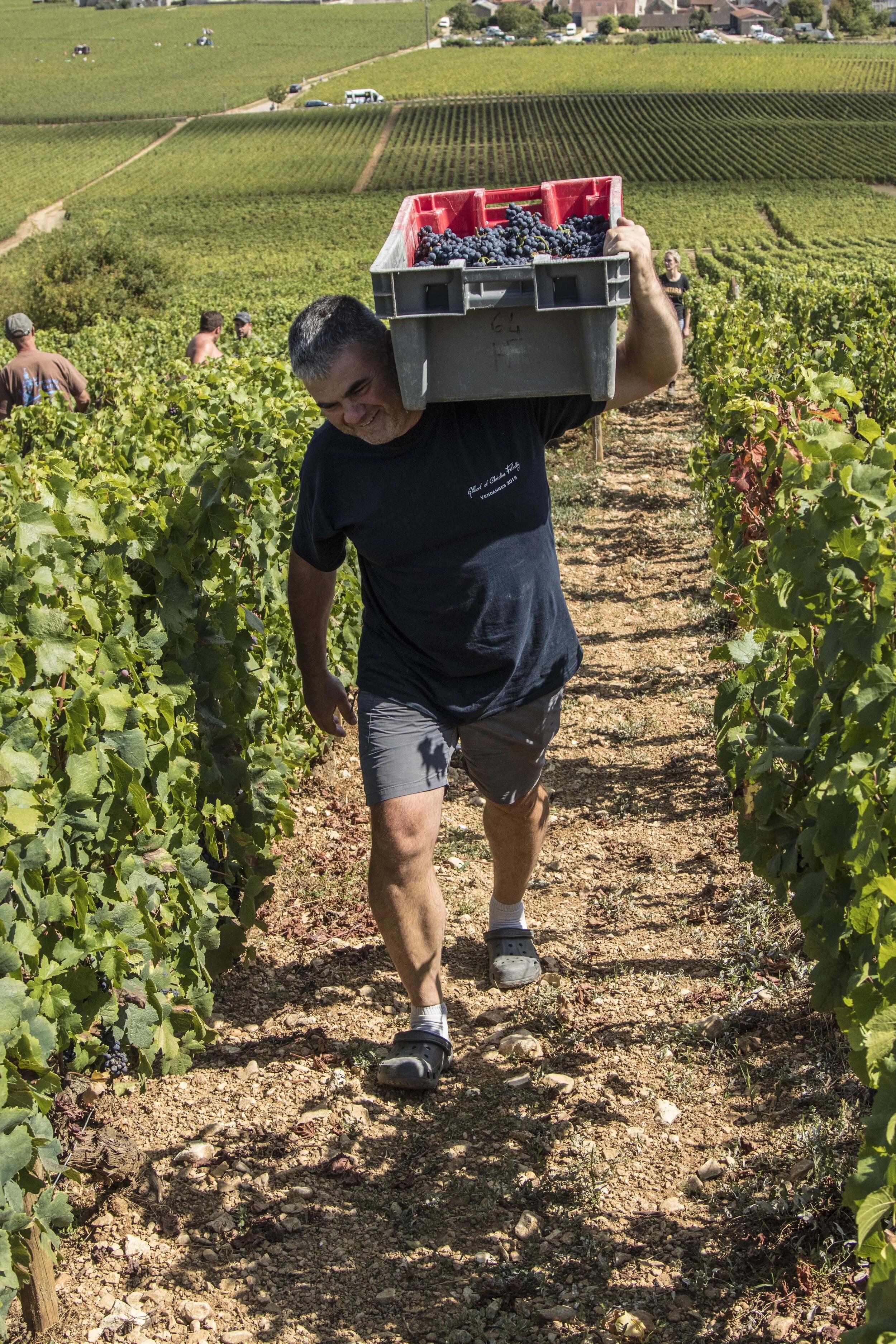 Domaine Felettig — La Souveraine