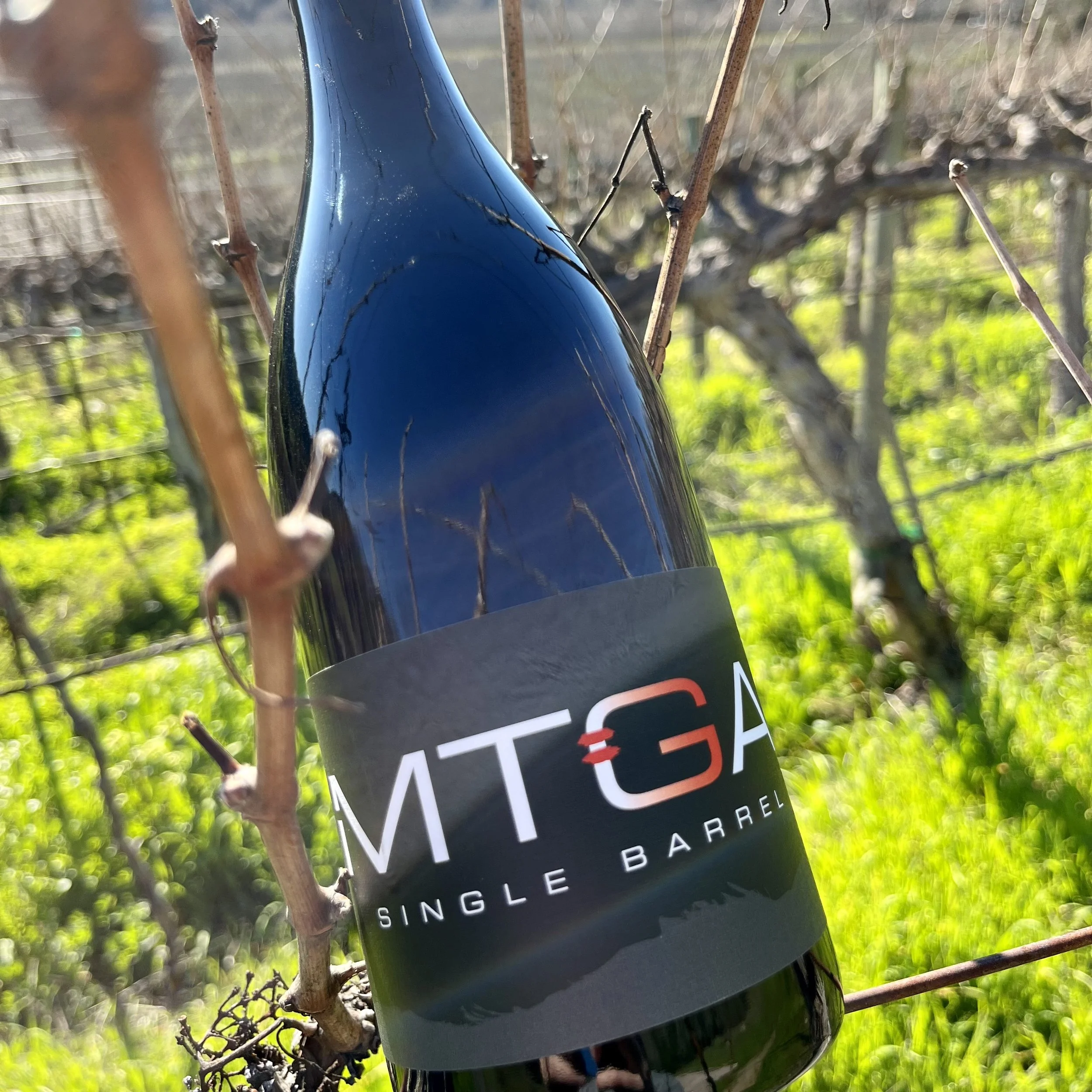 MTGA Wines