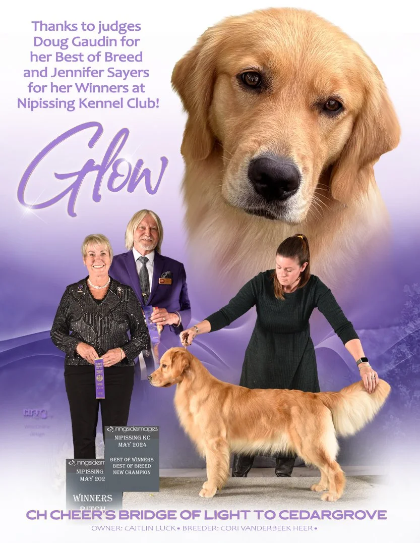 Our Dogs — Cedar Grove Farms