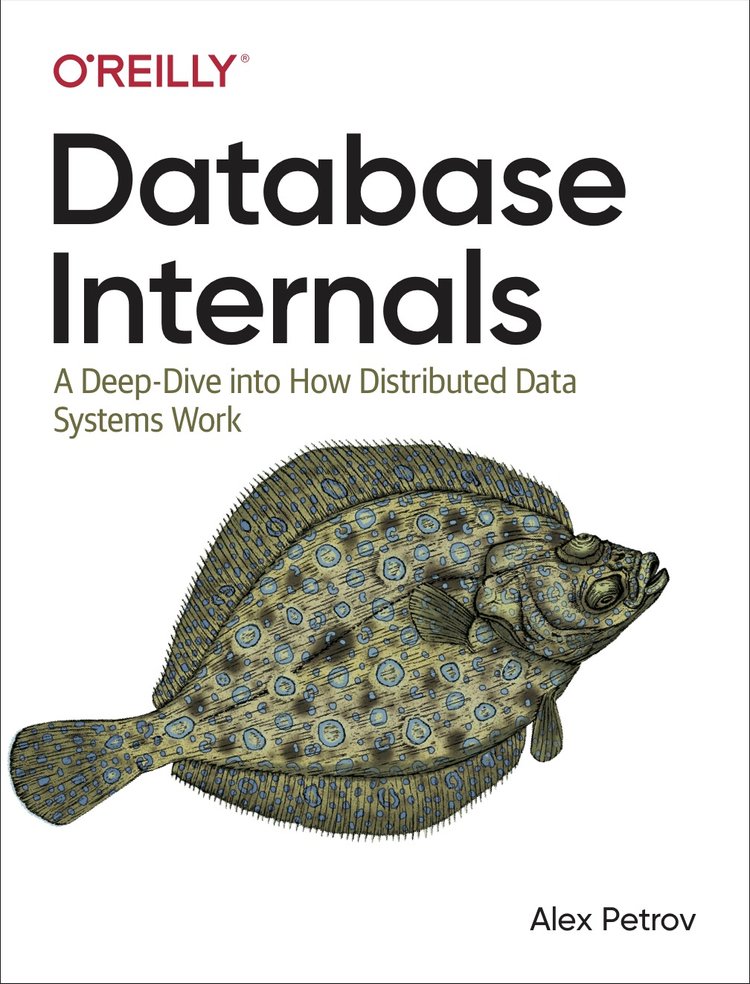 Database Internals