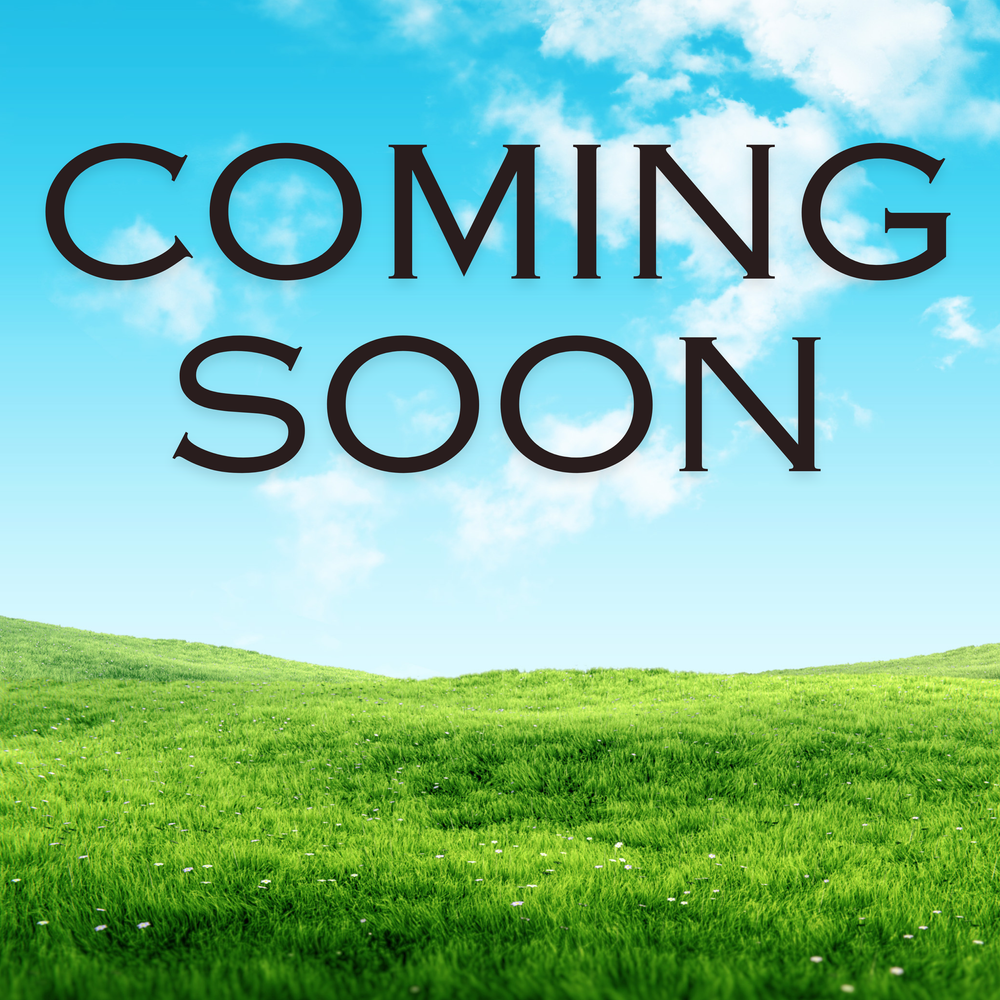 Wumba Kids Camp — WMB Church