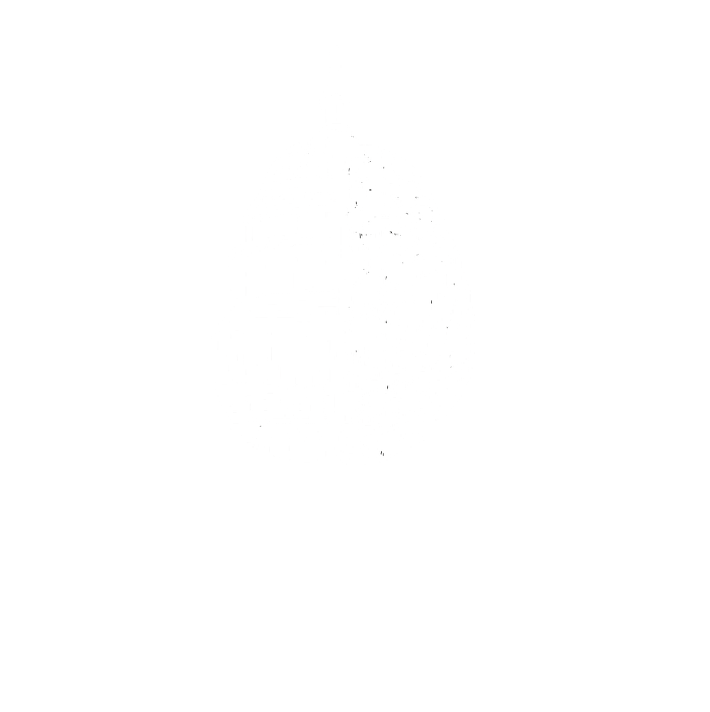 Jay Won Rhee, M.D. FAANS — Washington Brain & Spine Institute