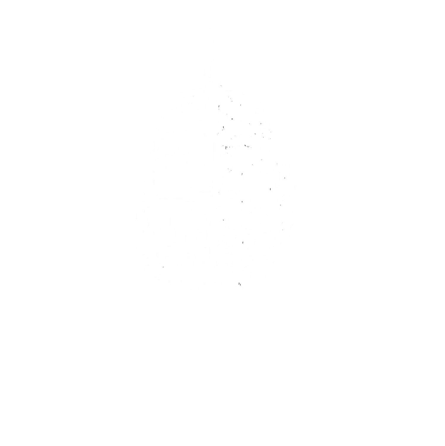 Washington Brain & Spine Institute