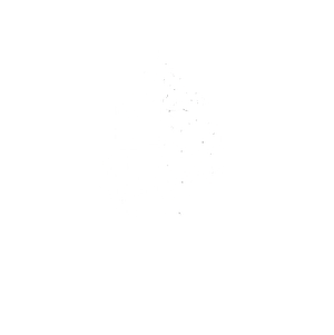 Jay Won Rhee, M.D. FAANS — Washington Brain & Spine Institute
