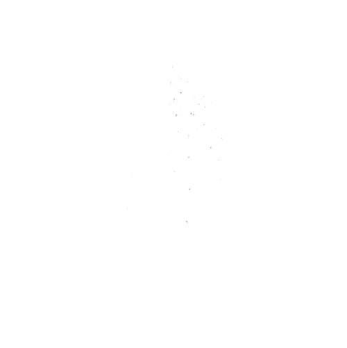 Jay Won Rhee, M.D. FAANS — Washington Brain & Spine Institute