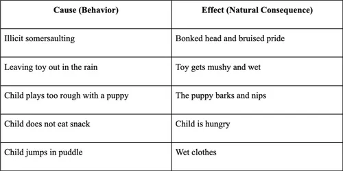 What Are Natural Consequences? — Playcrafter Kids