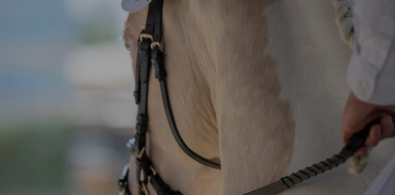 The Los Angeles Equestrian Center