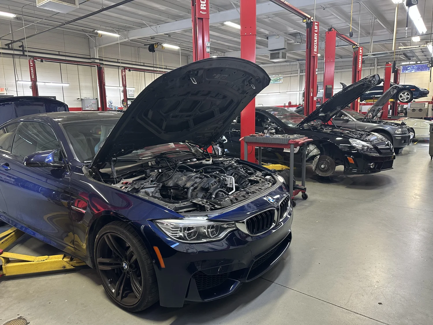 European Performance/-service-repair-porsche-bmw-mini-mercedes-audi ...