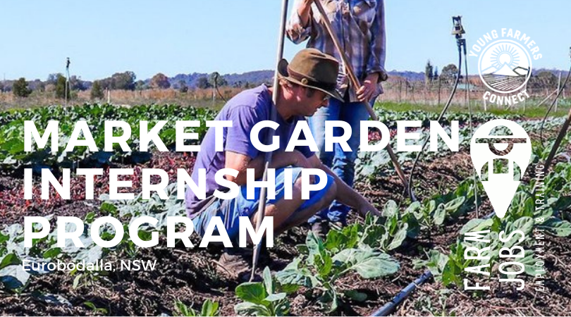 Market Garden Internship Program — YOUNG FARMERS CONNECT