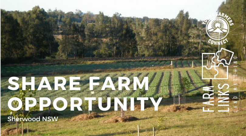 Farm Links — YOUNG FARMERS CONNECT