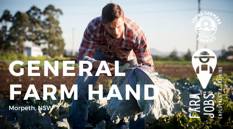 Job Opportunities — YOUNG FARMERS CONNECT