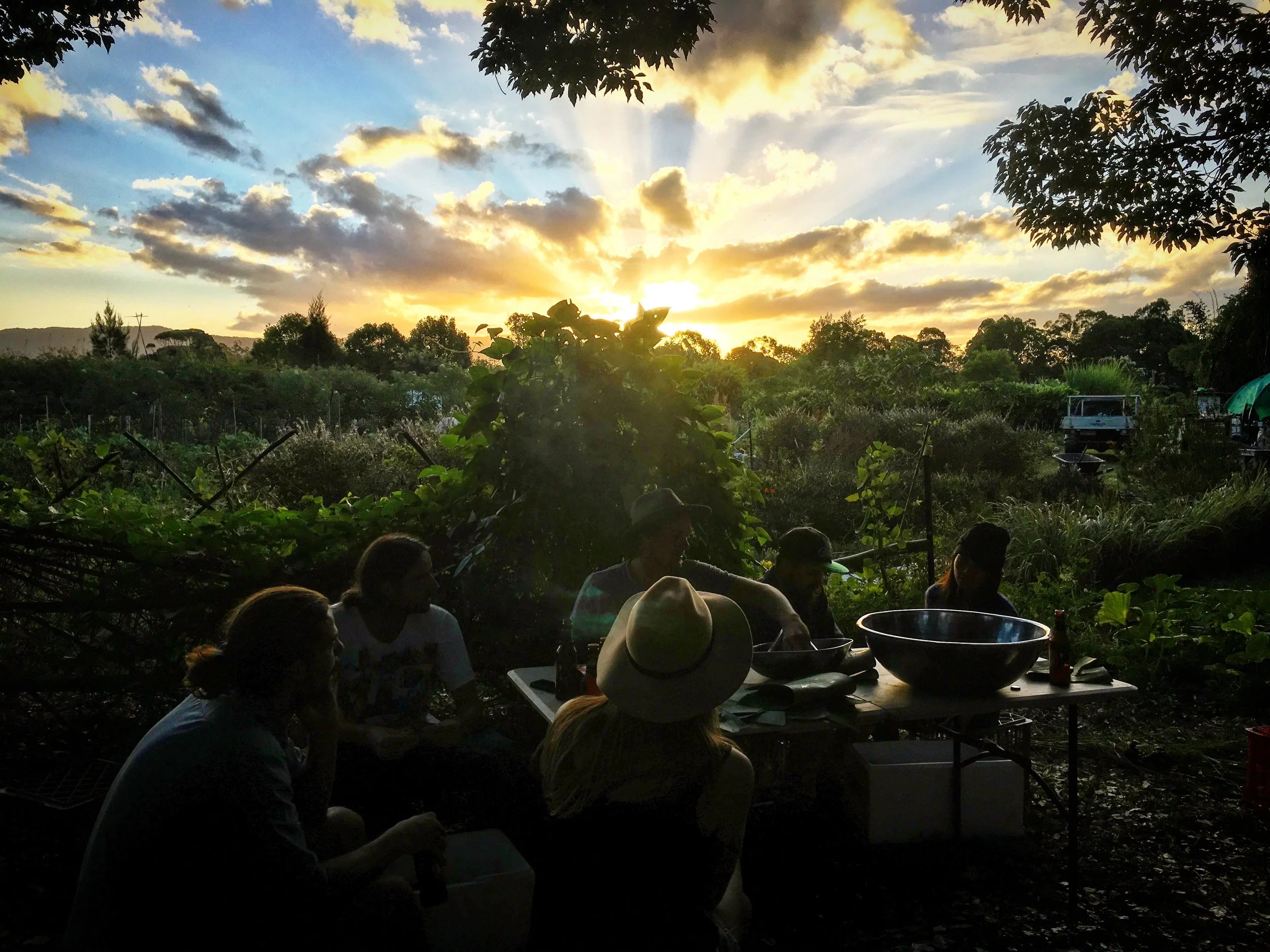 YOUNG FARMERS CONNECT