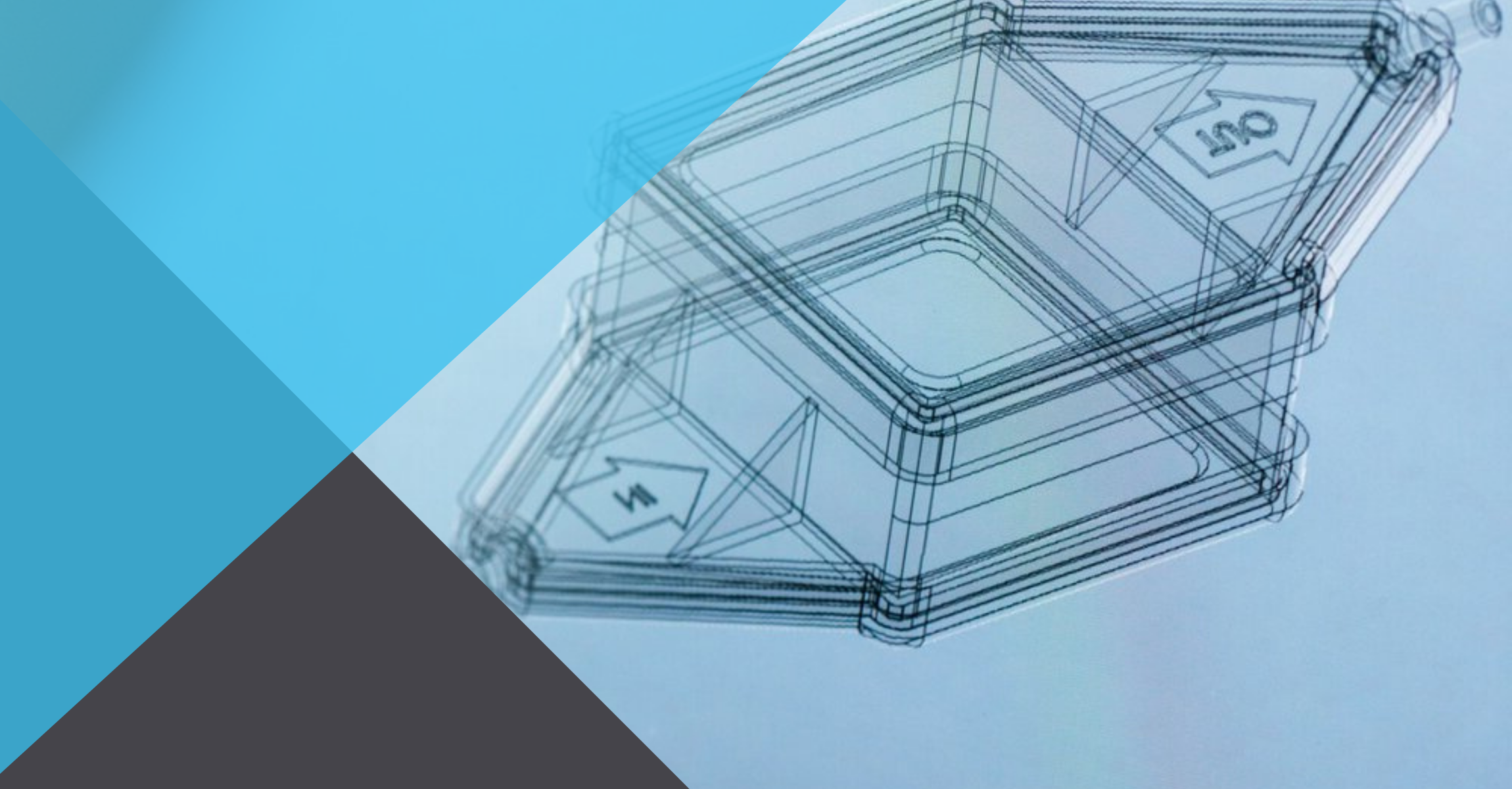 Perception Engineering