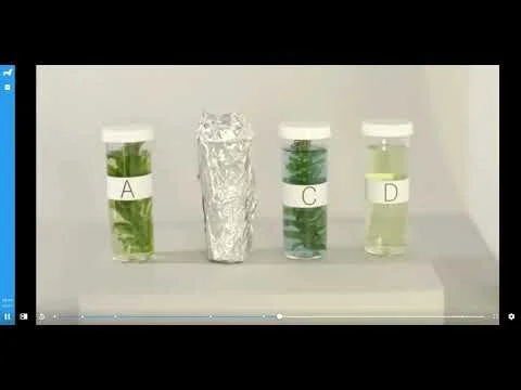 6-12 Secondary use cases — PlayPosit by WeVideo