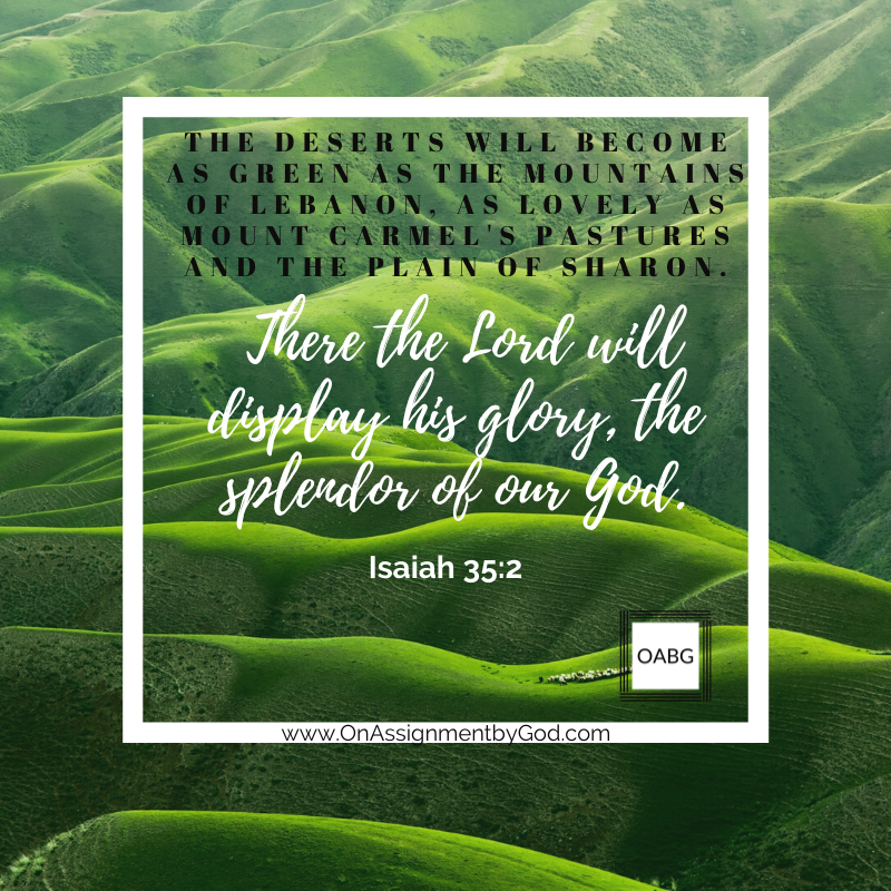 Hope for Restoration — ON ASSIGNMENT BY GOD