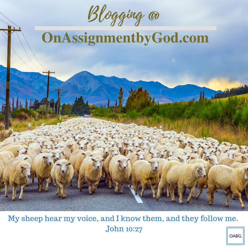 Continue! — ON ASSIGNMENT BY GOD