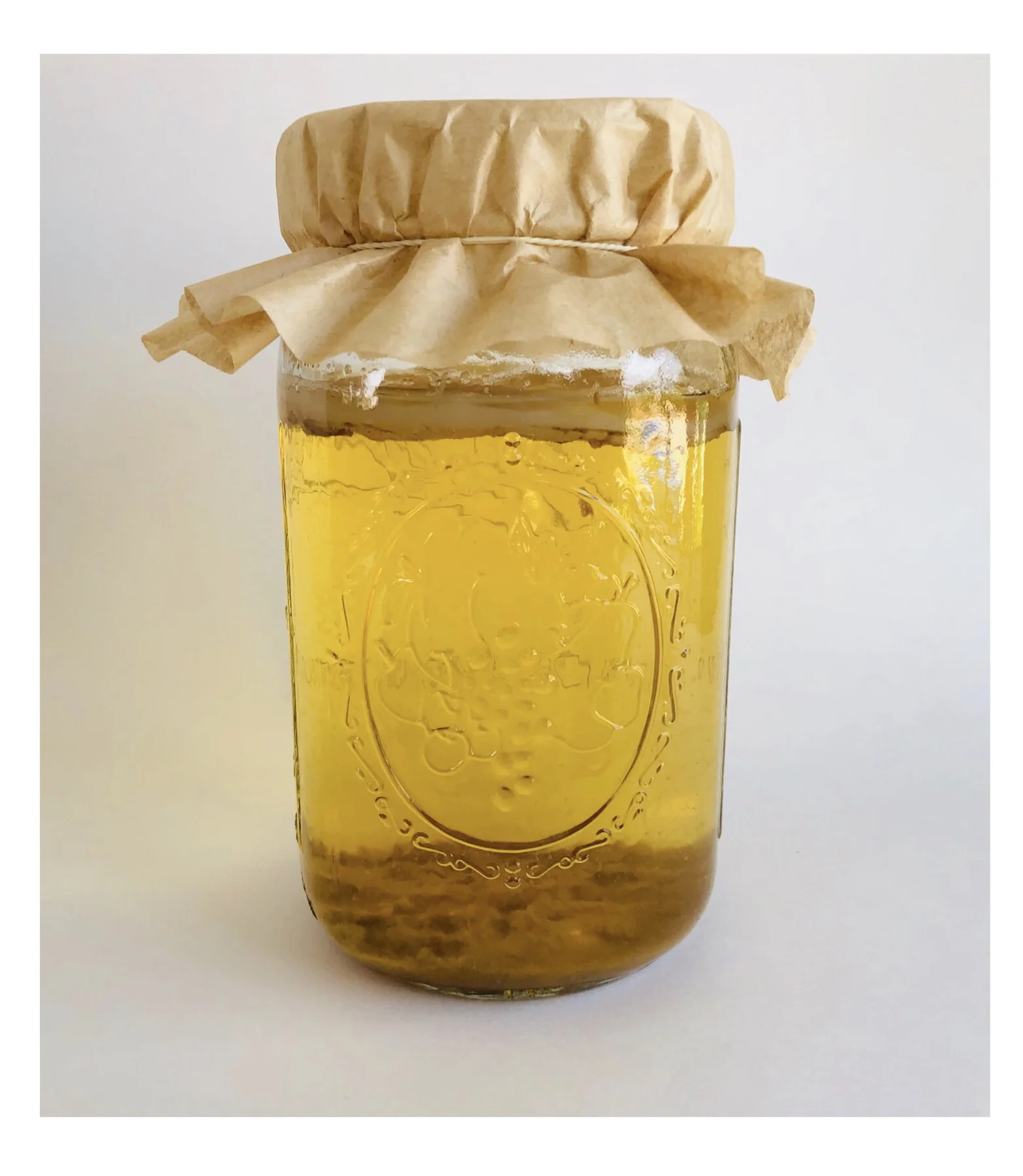 JUN — Positively Probiotic