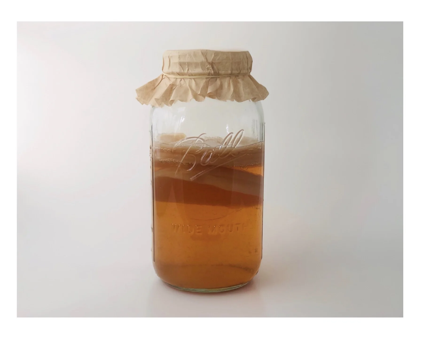 KOMBUCHA — Positively Probiotic