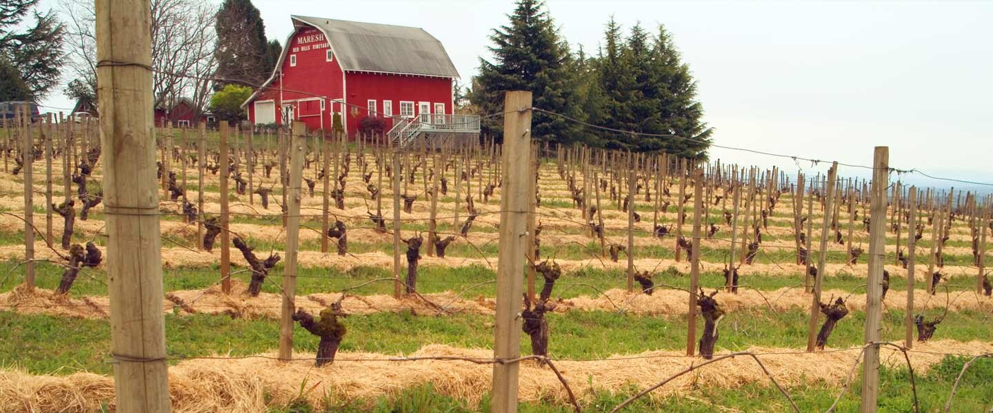 Arterberry Maresh - Dundee, Oregon — E & R Wine Shop