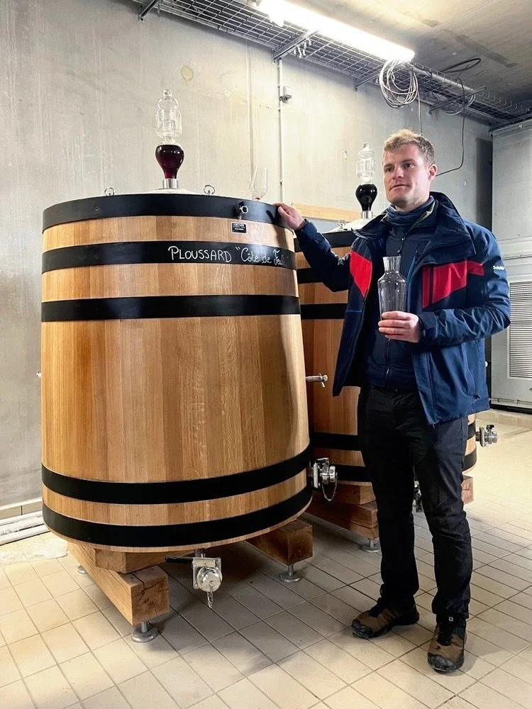 Jura's Star, Benjamin Benoit — E & R Wine Shop