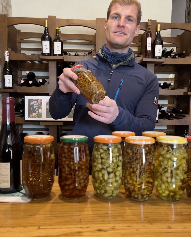 Jura's Star, Benjamin Benoit — E & R Wine Shop