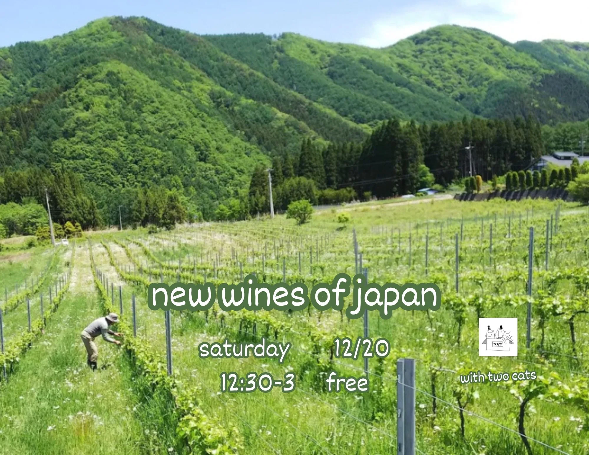 Japanese wines — E & R Wine Shop