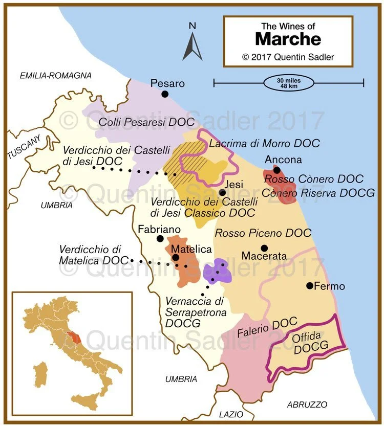 Magicians of The Marche — E & R Wine Shop