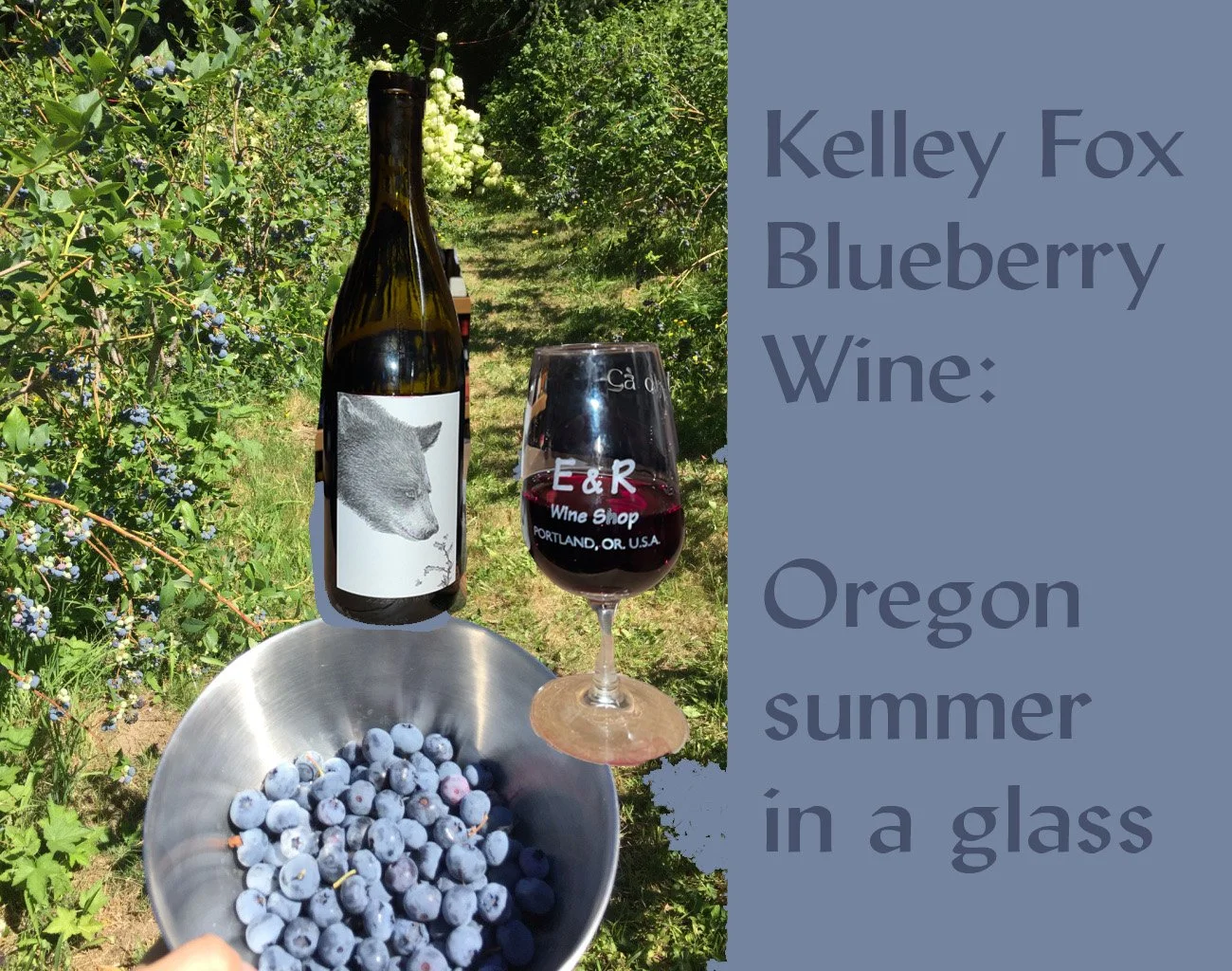 Kelley Fox Blueberry Wine: Memory of Oregon Summer — E & R Wine Shop