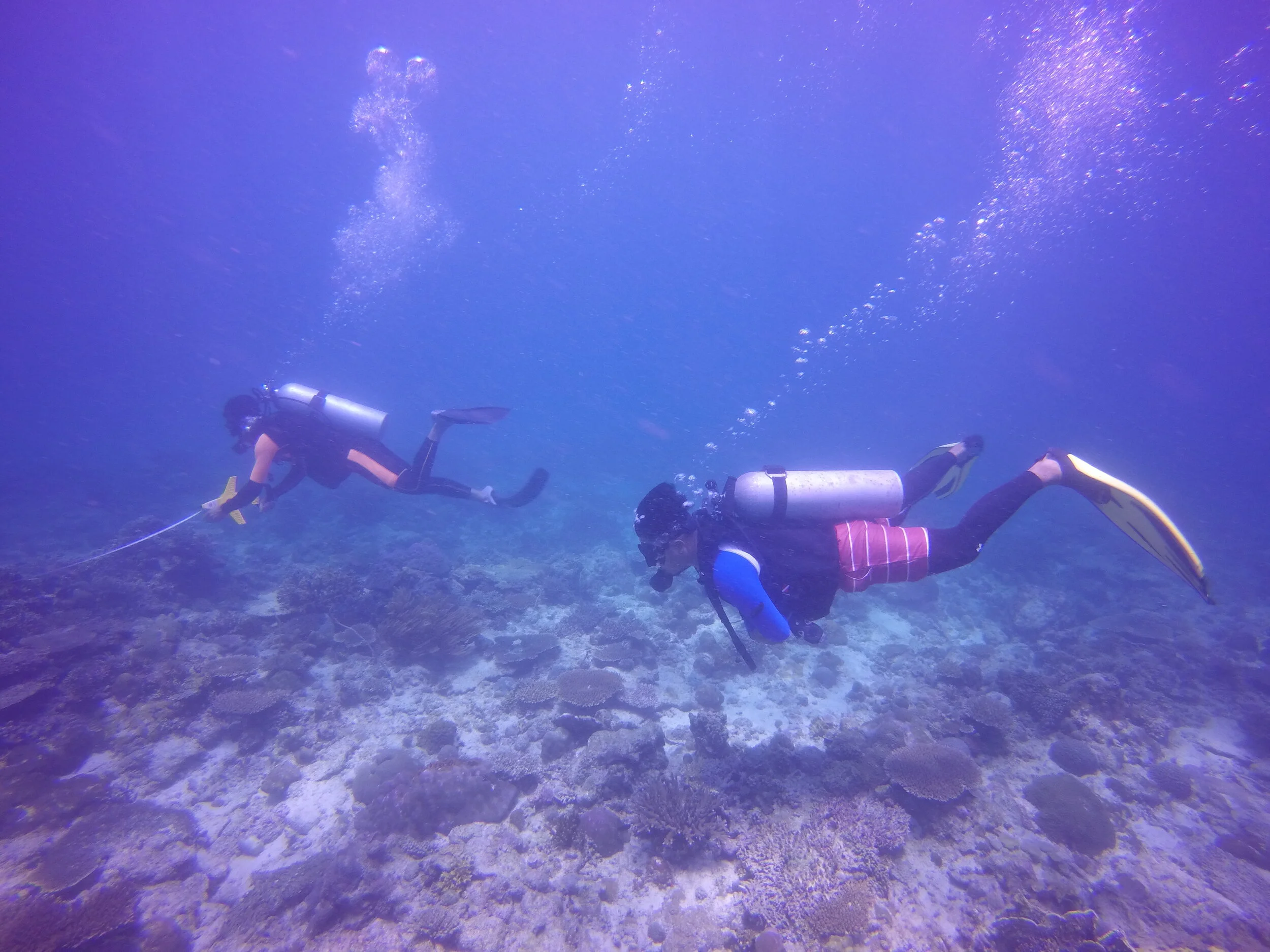 Protecting pristine beaches in Mantanani Island, Sabah — REEF CHECK ...