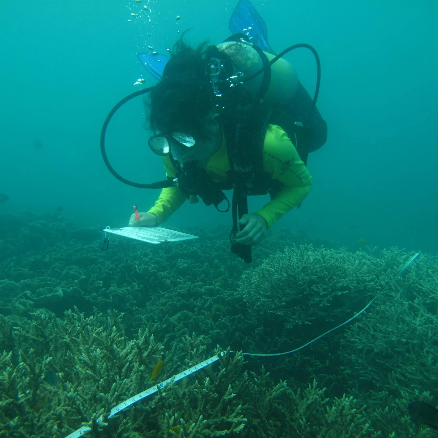 Take Action To Protect Our Ocean — REEF CHECK MALAYSIA