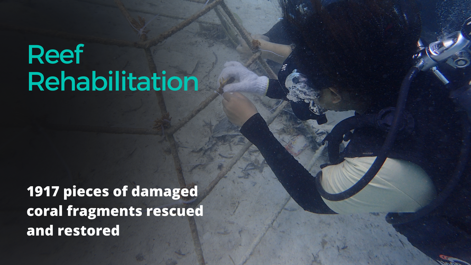 Reports — REEF CHECK MALAYSIA