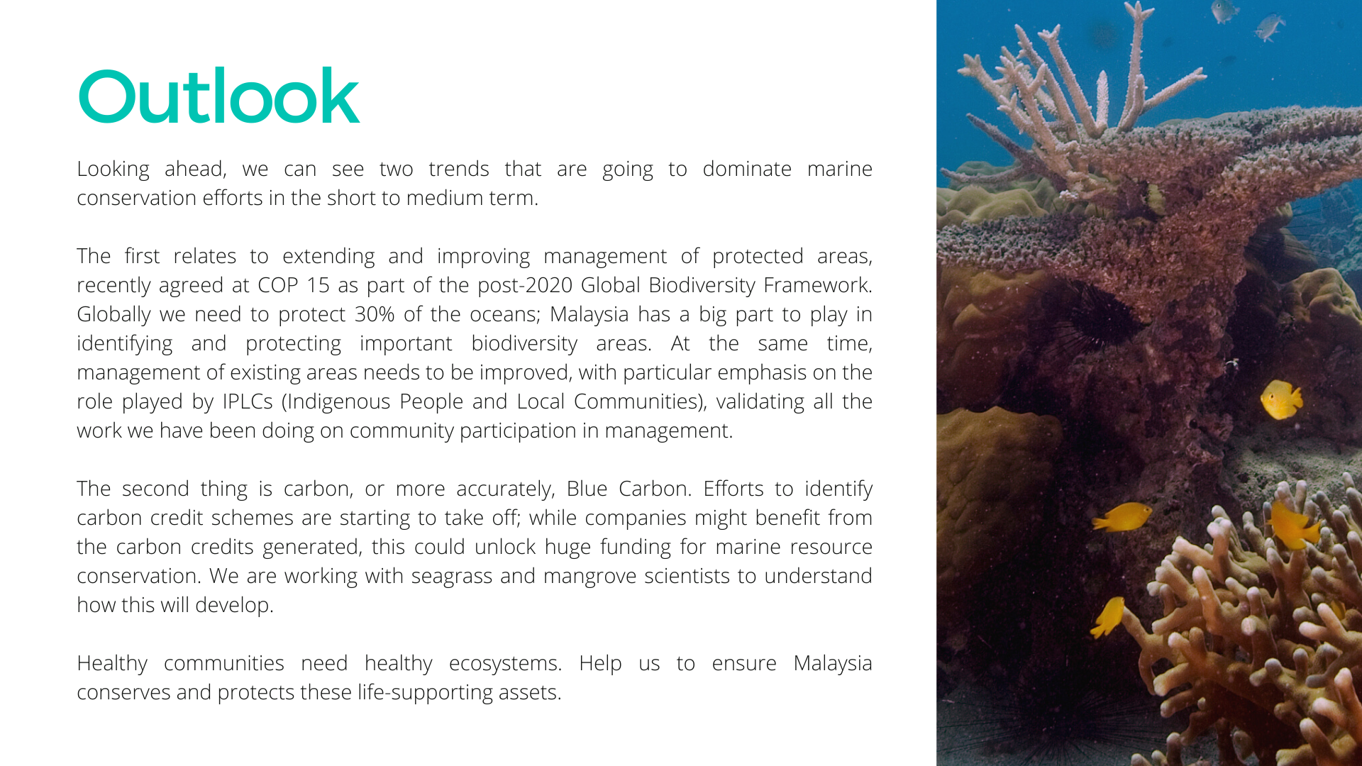 Reports — REEF CHECK MALAYSIA