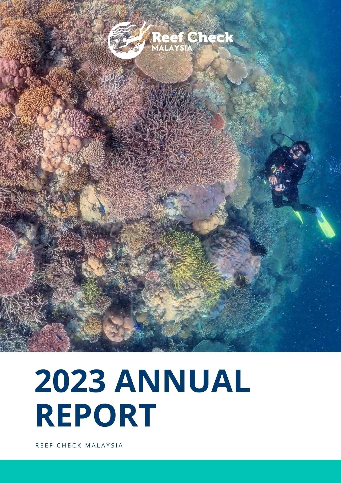 Explore Our Impacts and Reports — REEF CHECK MALAYSIA