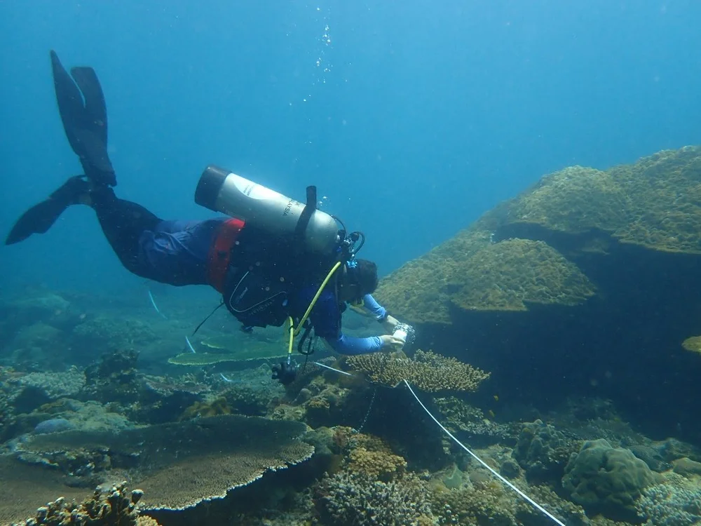 Press — REEF CHECK MALAYSIA