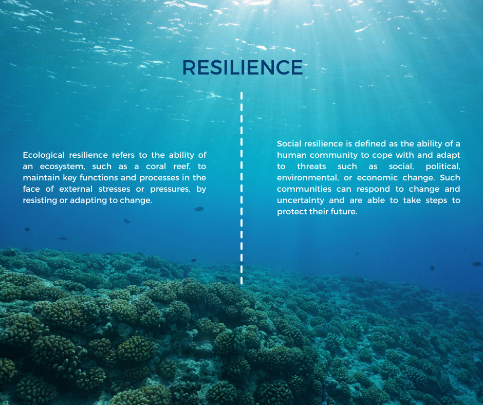 Time to Focus on Resilience - Reef Check Malaysia