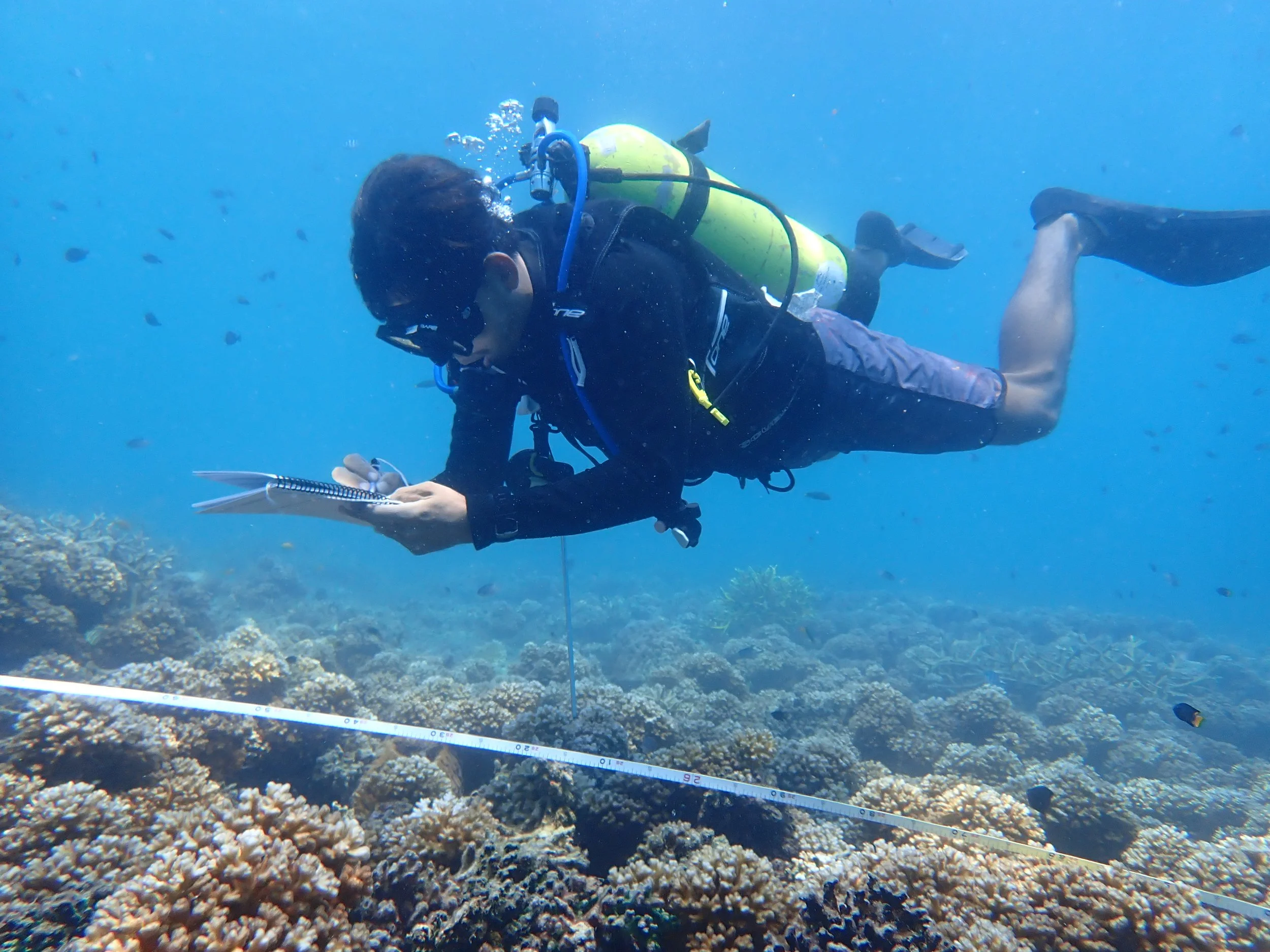 Reef Check Malaysia Welcoming 2024 - Reef Check Malaysia