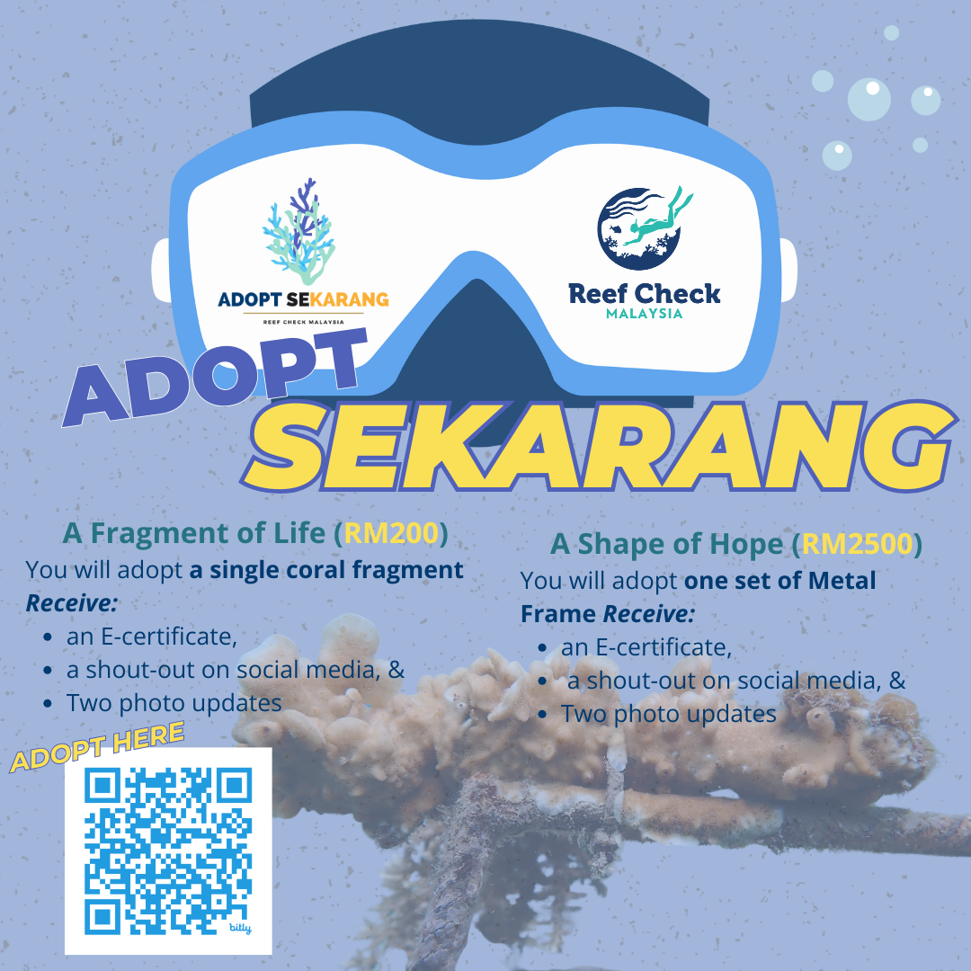 Donate to save our marine ecosystems — REEF CHECK MALAYSIA