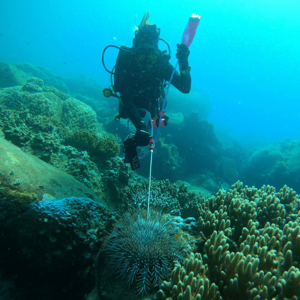 Reef Check Malaysia
