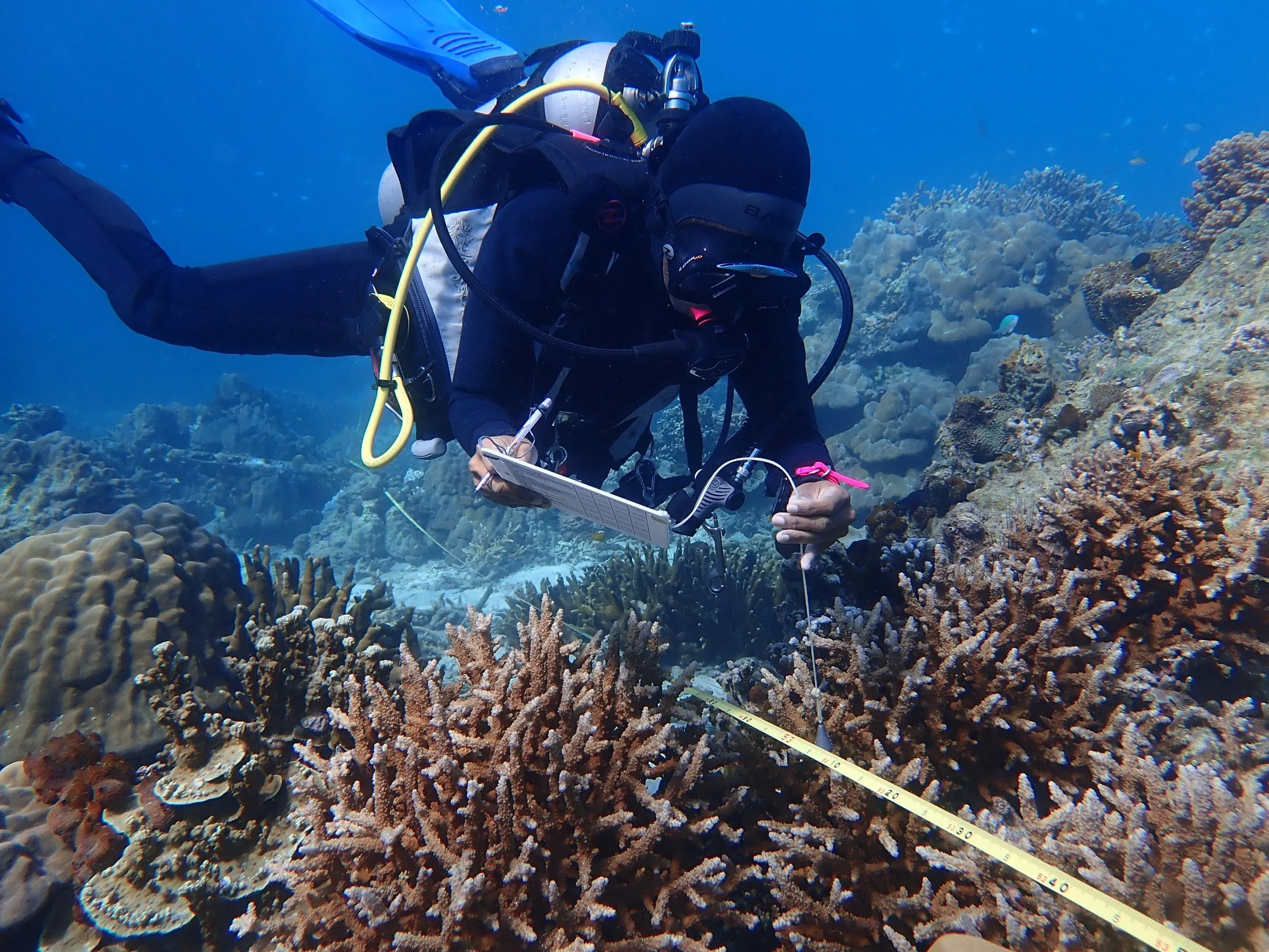 Journals - Reef Check Malaysia