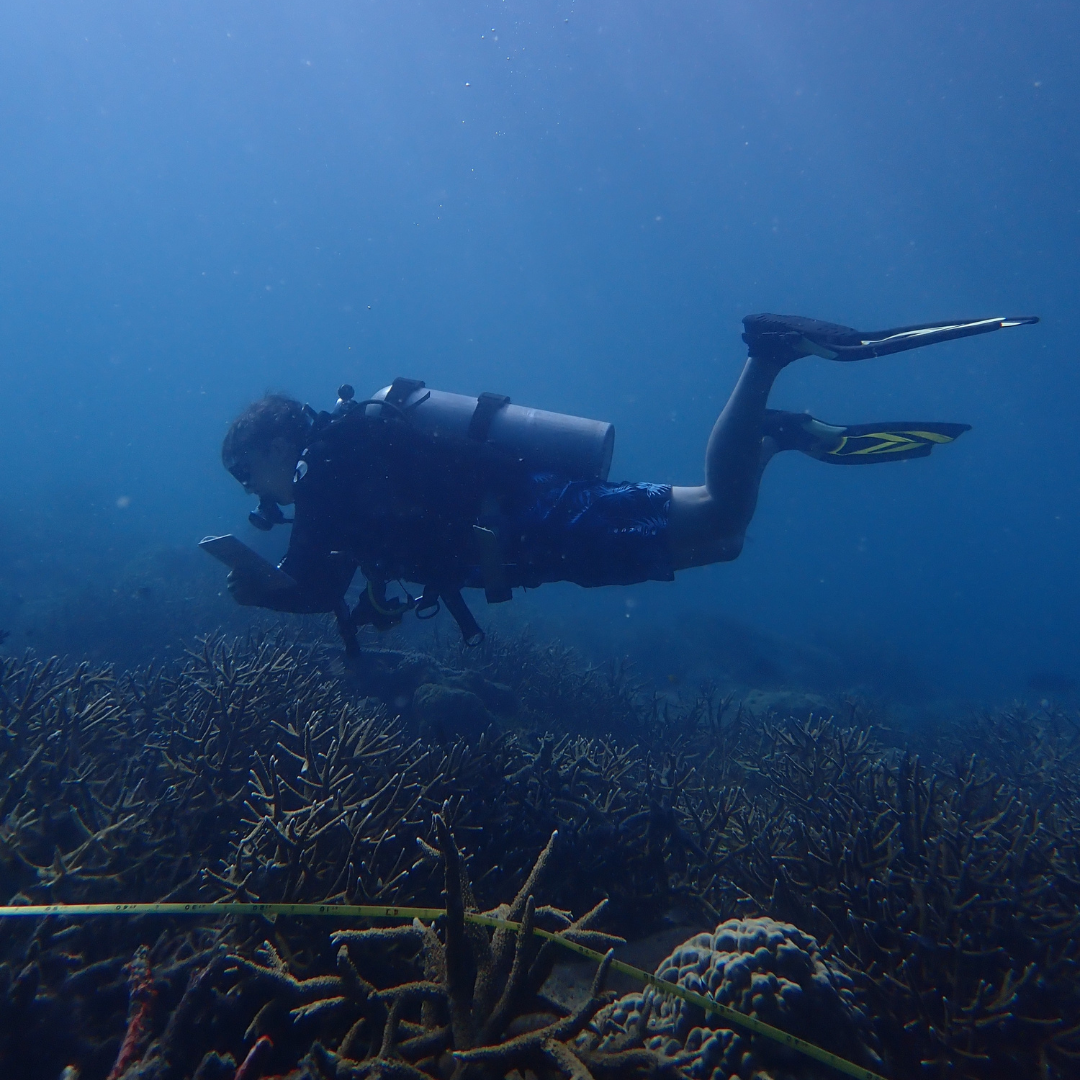 Reef Check Malaysia