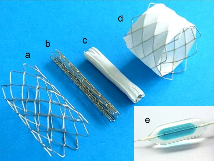 Stenting of the Coarctation of the Aorta — Golden Shutter Films