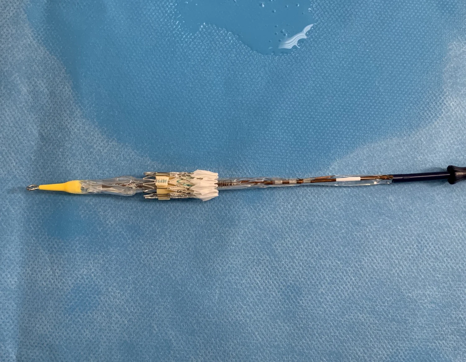 Percutaneous Pulmonary Valve Implantation (PPVI) — Golden Shutter Films
