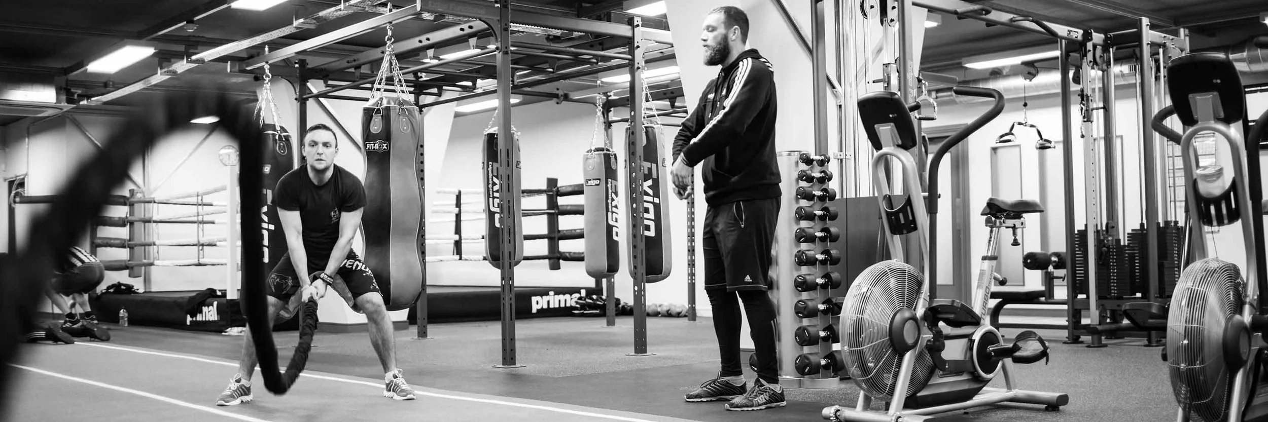 Primal Gym — PARKdesigned