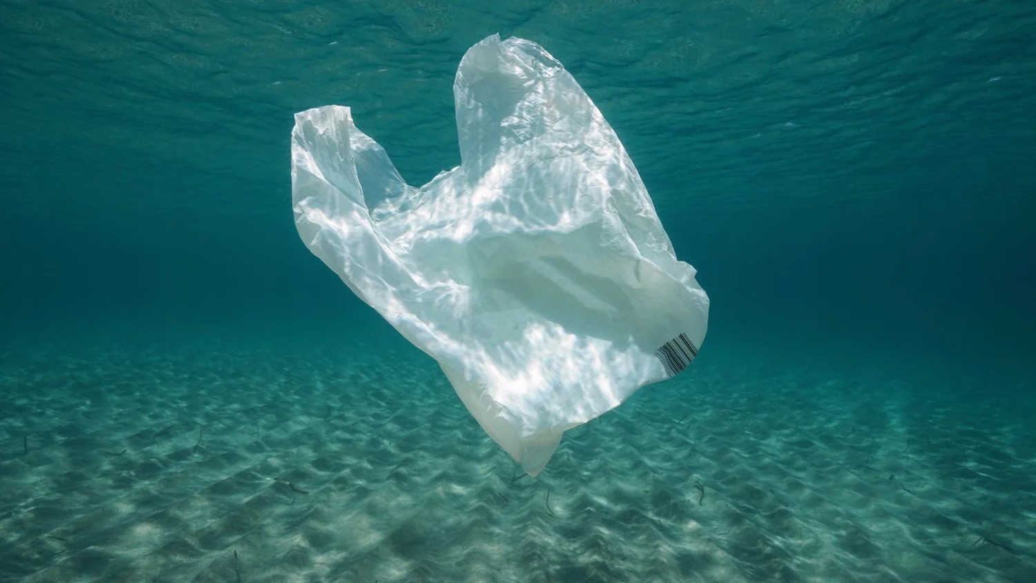 Is a Reusable Cotton Tote Bag Better Than a Plastic Bag? — Jenerous