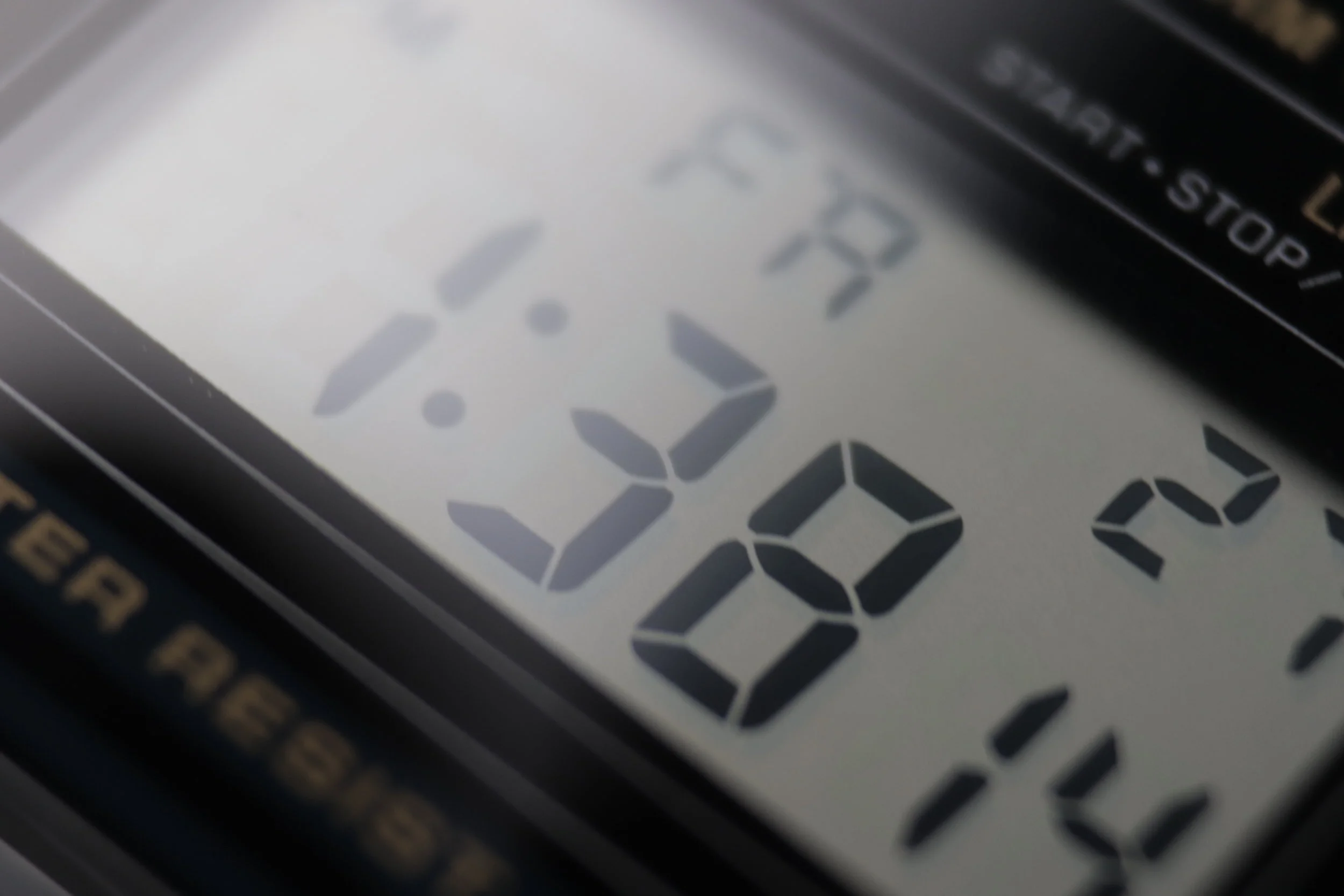 Casio F91W Review | Here's Why It's The World's Most Popular Digital ...