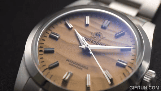 Addiesdive AD2030 Desert Watch Review | This Is The New King Of Budget ...